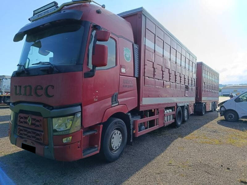 Renault T 520 P livestock trailer truck kamion za prevoz stoke