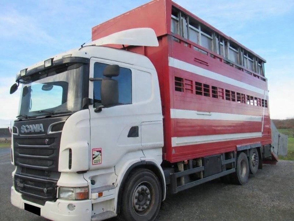 Scania R 500 Livestock truck kamion za prevoz stoke