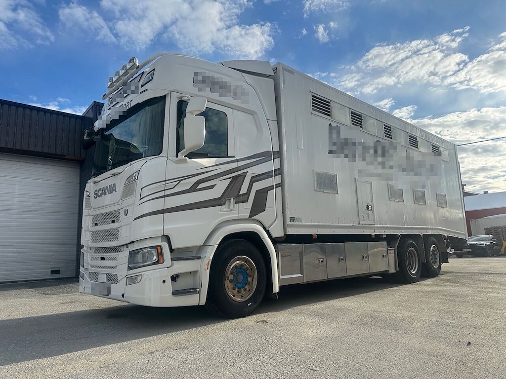 Scania R500 6x2 dyrebil – 12 storfe og 120 småfe. SE VIDEO kamion za prevoz konja