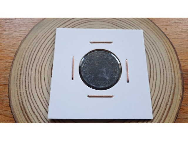 KSHS 10 PARA 1920 GODINA
