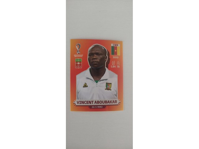 Panini FIFA 2022 Qatar CMR 15