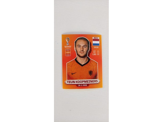 Panini FIFA 2022 Qatar NED 13