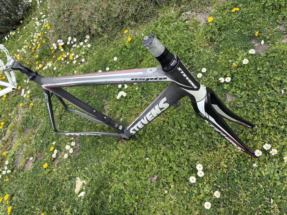 Stevens Aspin road ram 52x53cm
