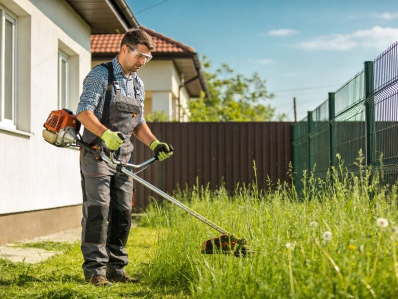 Kosenje trave trimerom Niš Palilula