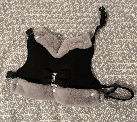 Odelo i povidac za psa