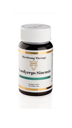 Cordyceps Sinensis 60 kapsula