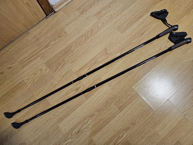 Stapovi za hodanje planinarenje Nordic Walking 123cm