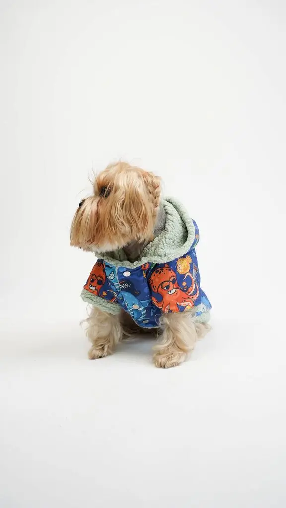 Paws & Whiskers Odelo za pse Ocean Raincoat, Šareno