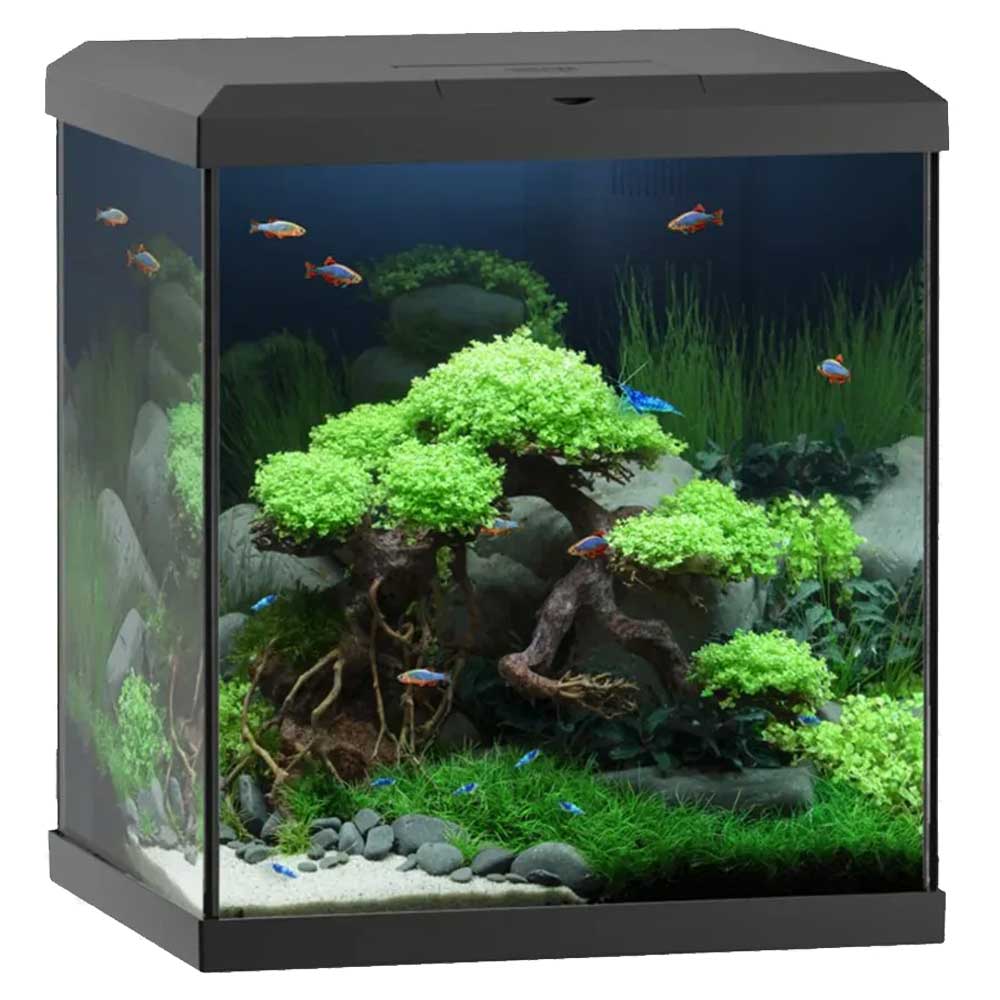 Juwel akvarijum vio cube 54