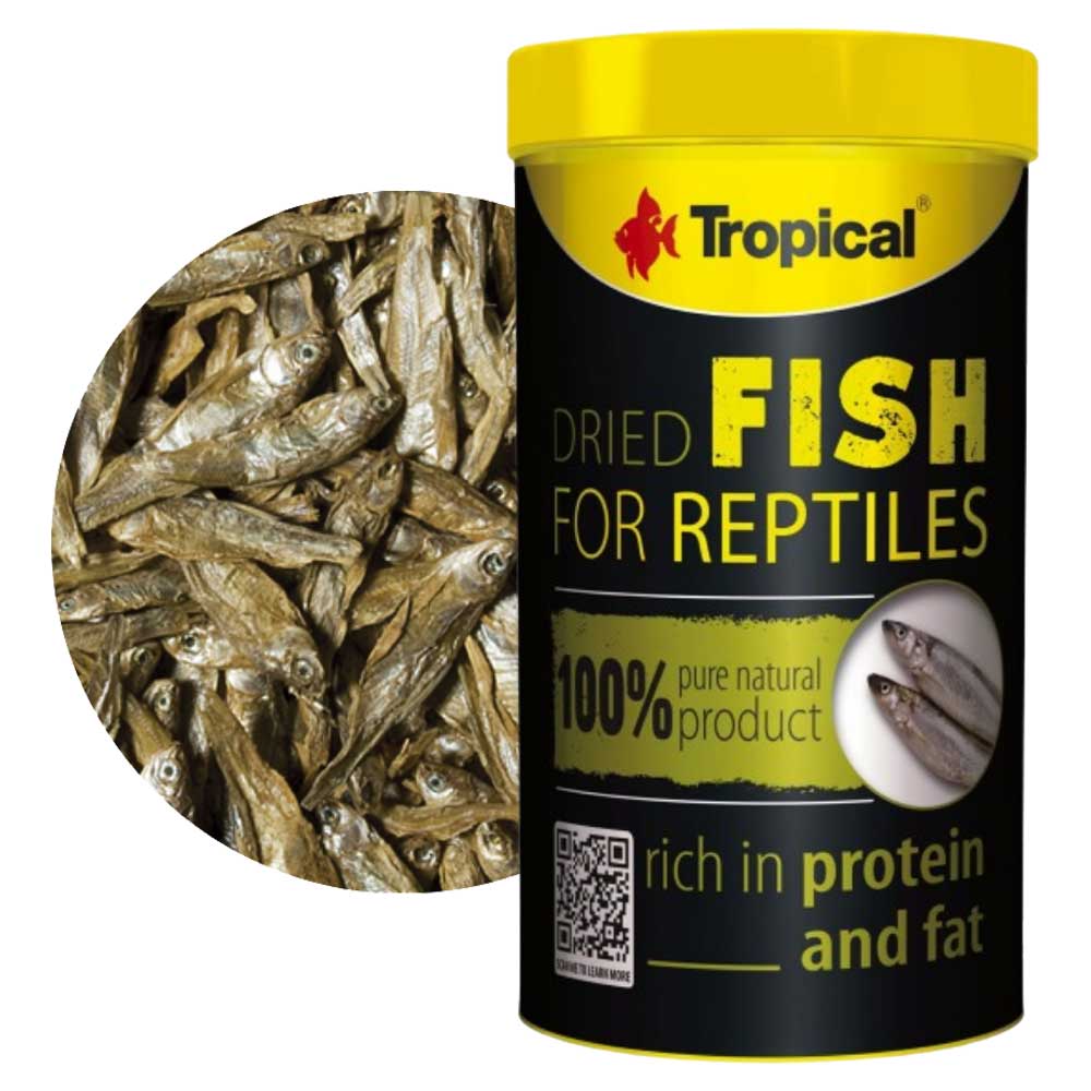 Tropical dried fish
