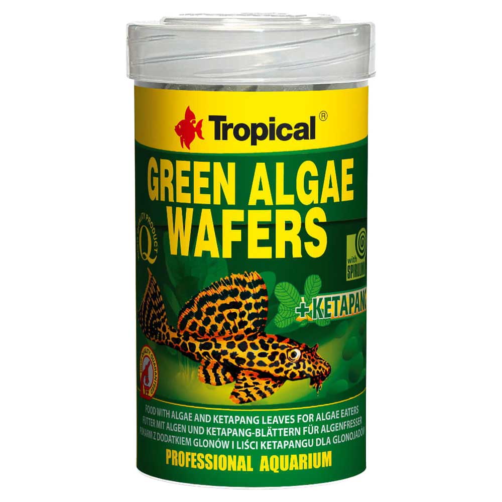 Tropical green algae wafers