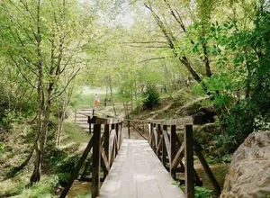 Prodaja Vila - Čajetina, Centar