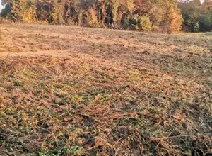 Prodaja Građevinsko zemljište - Beograd, Grocka: Vrčin - Begaljica - Umčari