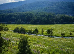 Prodaja Plac - Čajetina