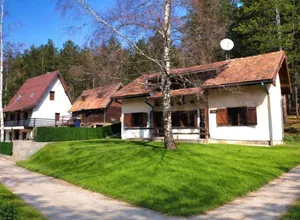 Prodaja Vila - Čajetina