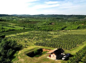 Prodaja Plac - Beograd