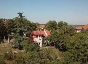 Prodaja Vila - Beograd