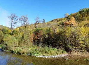 Prodaja Plac - Čajetina