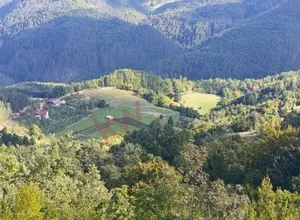 Prodaja Građevinsko zemljište - Bajina Bašta