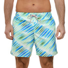 MUŠKI ŠORC ZA KUPANJE ARENA MEN'S WATER PRINTS BEACH BOXER AO