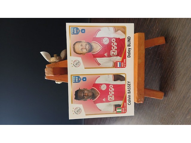 Fifa 365 2023 Br. 376