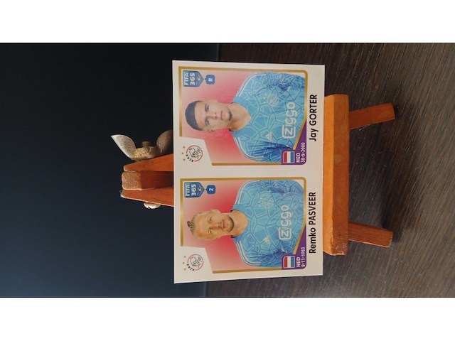 Fifa 365 2023 Br. 374