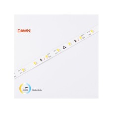 Led trake