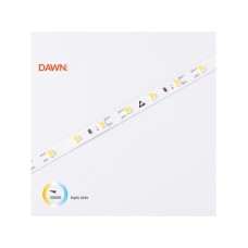 Led trake