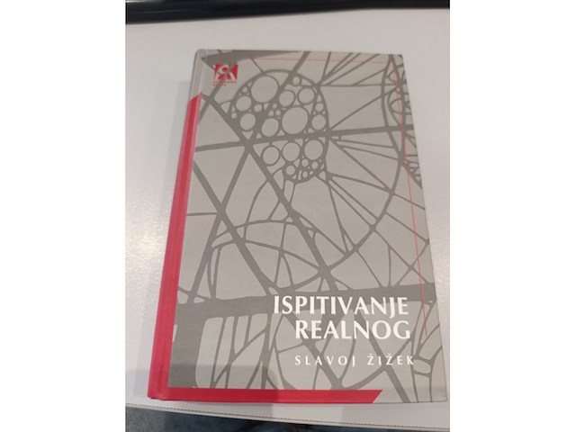 Žižek - Ispitivanje realnog