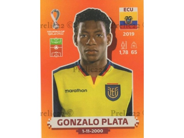 QATAR 2022 FIFA WC - ECU17