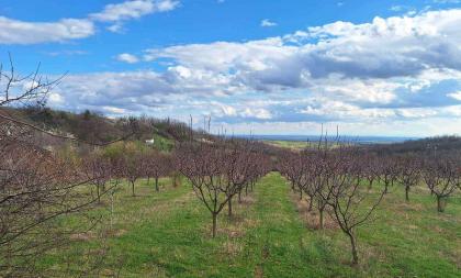 PRODAJEM PLAC-ZEMLJU LUX ZONA