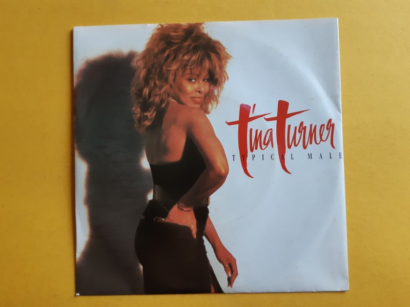 NOVO***RETKI NASLOVI - TINA TURNER **** 1986 EVROPA