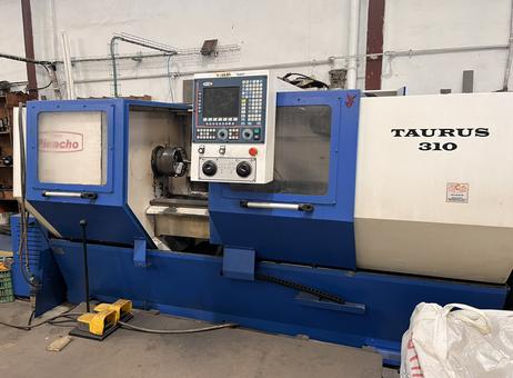 CNC strug PINACHO TAURUS 310