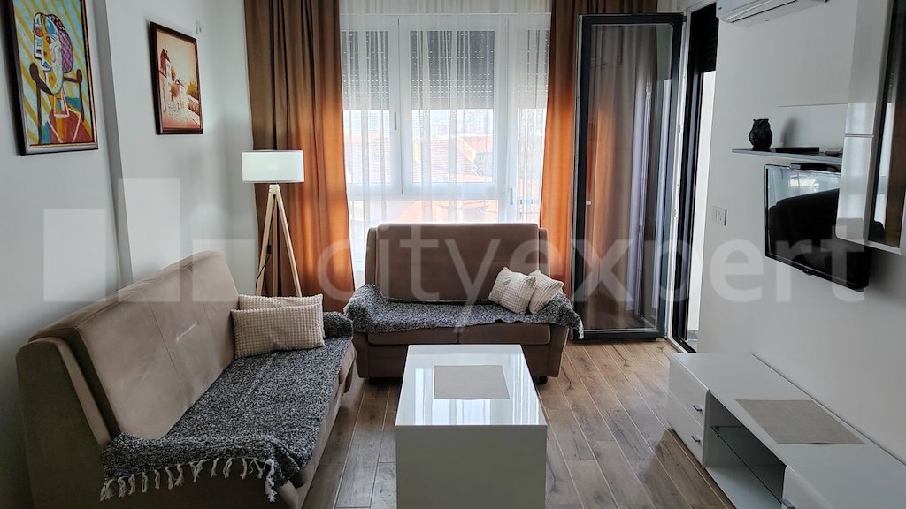 Stan za izdavanje BEZ PROVIZIJE: Dvosoban, 51m², Hadži Prodanova, Pantelej - 450€