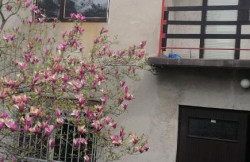 Obrenovac, Draževac, 161m2,