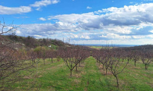 Prodajem plac-zemlju LUX zona
