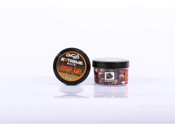 Gica mix pop up two colors 10mm 25g MULBERY