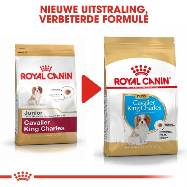 Royal Canin Suva hrana za pse Cavalier King Charles Puppy 1.5kg.