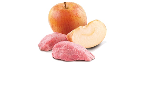 N&D Vlažna hrana konzerva Dog Grain Free Mini Boar&Apple 140g