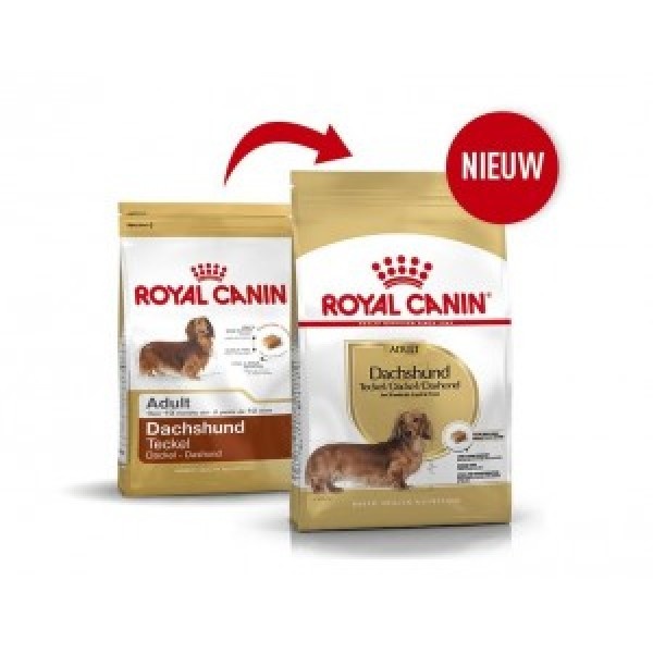 Royal Canin Suva hrana za pse Dachshund Adult 500gr.