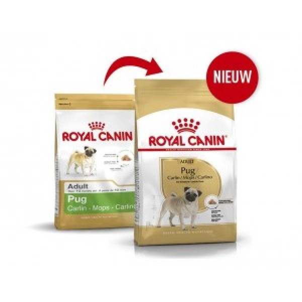 Royal Canin Suva hrana za pse Pug Adult 500gr.