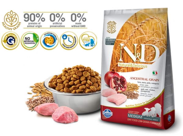 N&D Suva hrana LG Puppy Medium Chicken&Pomegranate 12 kg