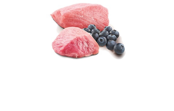 N&D Vlažna hrana konzerva Dog Grain Free Mini Lamb&blueberry 140g
