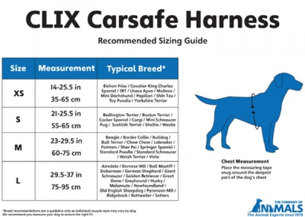 CLIX car safe - manji