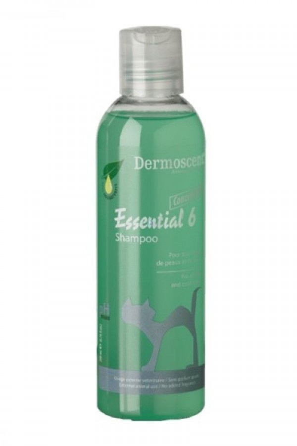 Dermoscent Essential 6 šampon za mačke 200ml
