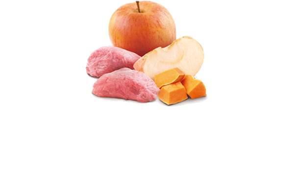 N&D Vlažna hrana konzerva Dog Pumpkin Mini Boar&Pumpkin&Apple 140g