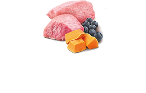 N&D Vlažna hrana konzerva Dog Pumpkin Lamb&Pumpkin&Blueberry 285g