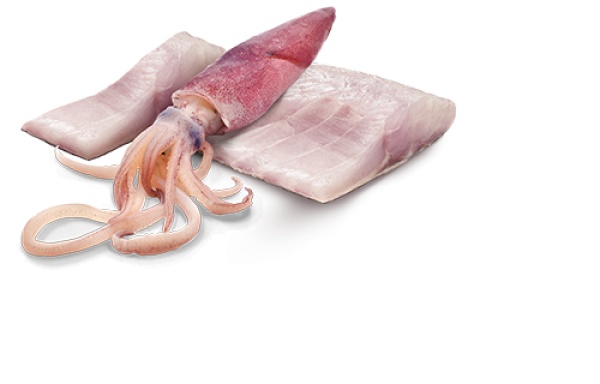 N&D Vlažna hrana konzerva Dog Ocean Mini Sea Bass&Squid 140g