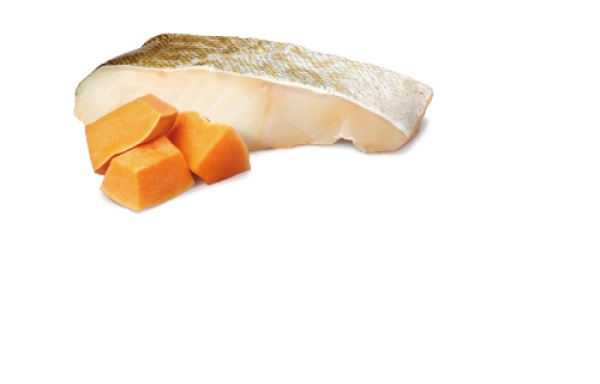 N&D Vlažna hrana konzerva Dog Ocean Mini Codfish&Pumpkin 140g