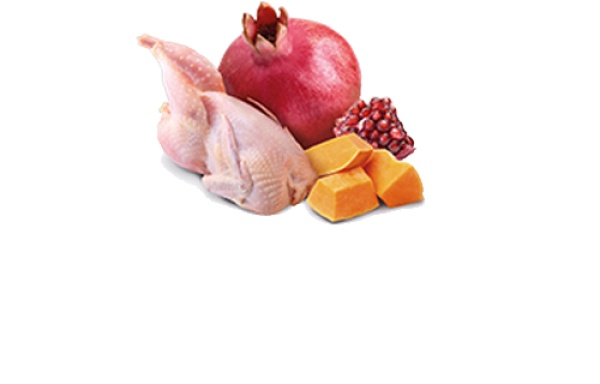 N&D Vlažna hrana konzerva Dog Pumpkin Mini Quail&Pumpkin 140g
